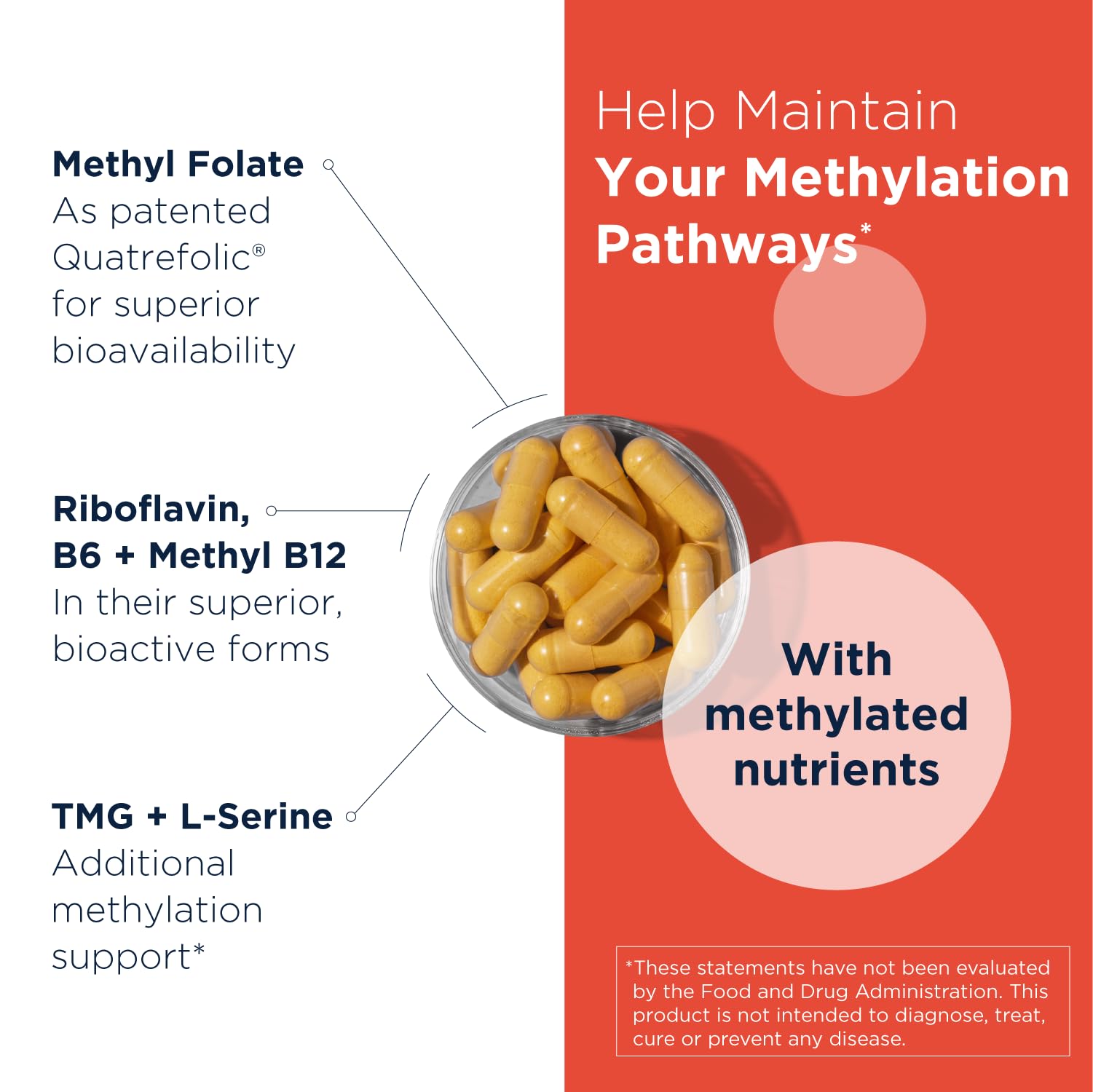 L-Serine and TMG for cognitive support