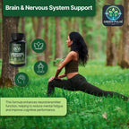 L-Theanine and magnesium synergy