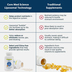 L-theanine benefits with ALC