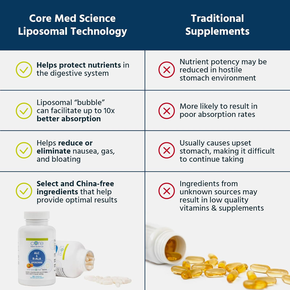 L-theanine benefits with ALC