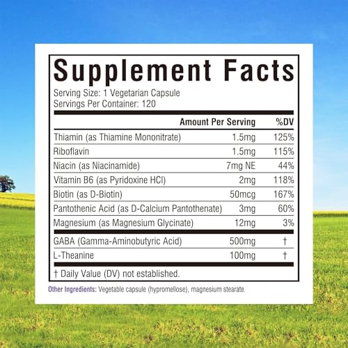 L-Theanine capsules for stress relief