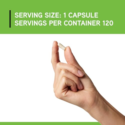 l-theanine capsules support mental clarity
