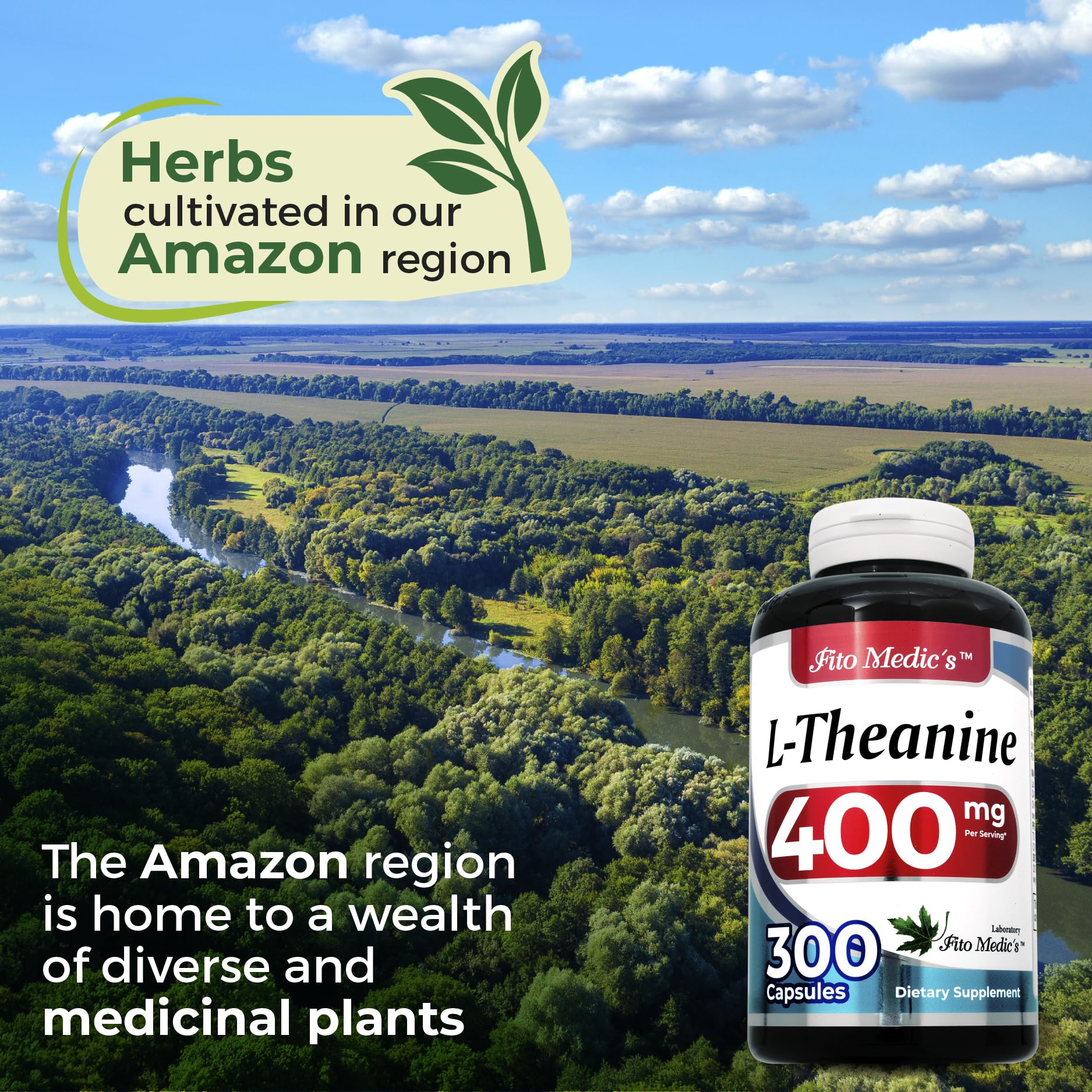 L-Theanine for anxiety reduction