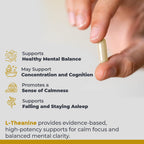 L-Theanine for improved focus and calm
