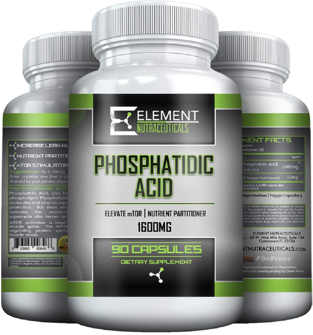 l-theanine for muscle growth