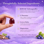 L-Theanine gummies for restful nights