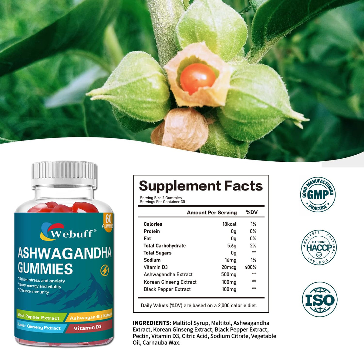 L-Theanine infused Ashwagandha gummies