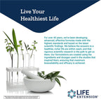 l-theanine promotes relaxation