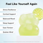 L-Theanine stick packs for relaxation
