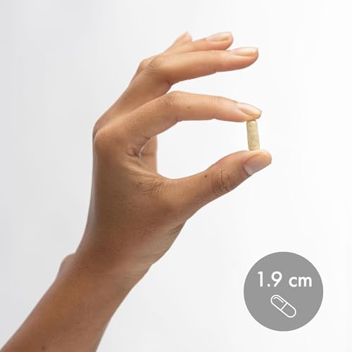 l-theanine support for anxiety relief