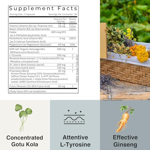 L-Tyrosine for cognitive support