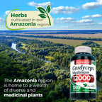 Lab mushroom capsules for vitality