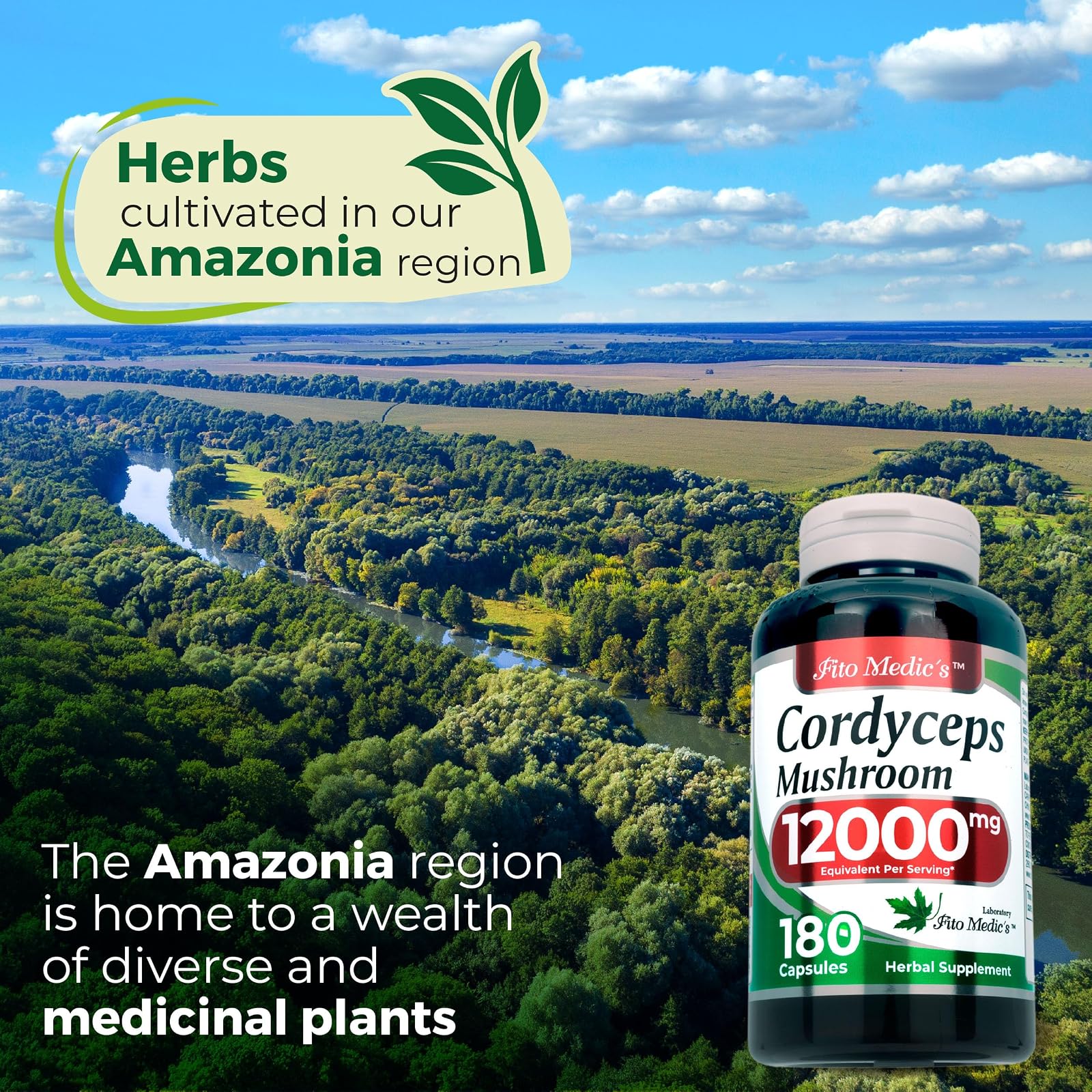Lab mushroom capsules for vitality