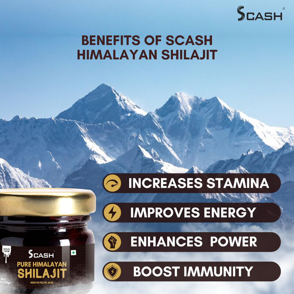 lab tested shilajit for purity