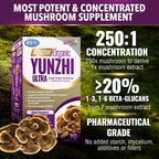 LABO Nutrition adaptogen mushroom capsules