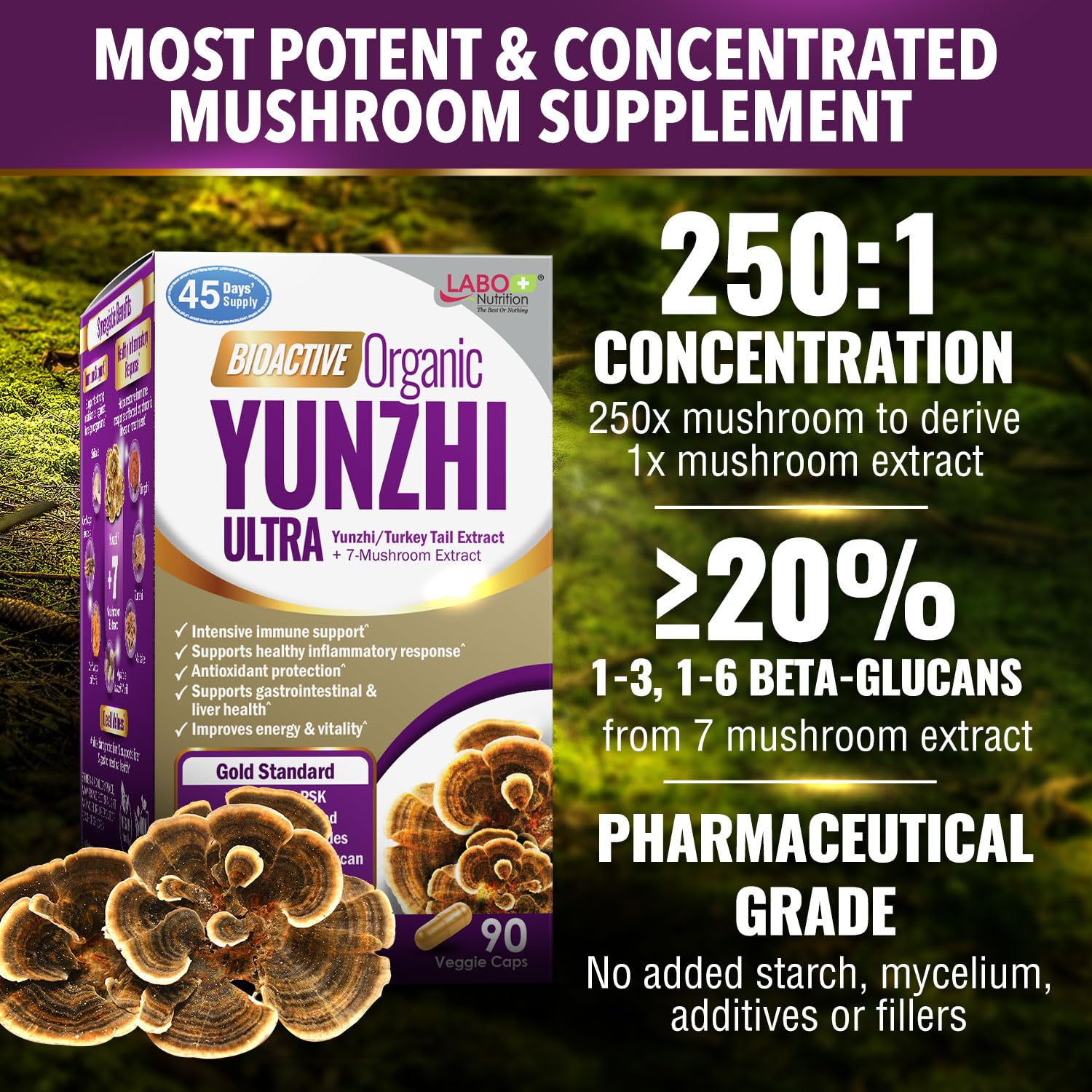 LABO Nutrition adaptogen mushroom capsules