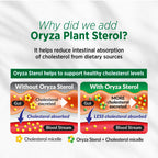 LABO Nutrition herbal cholesterol remedy