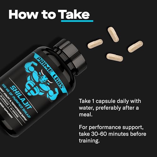Labs shilajit for mental clarity
