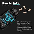 Labs shilajit for overall health