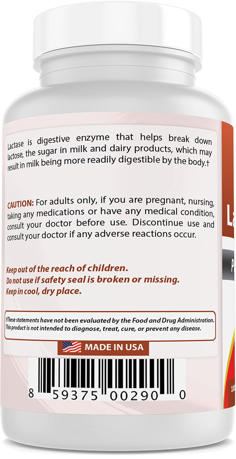 lactase enzyme for dairy digestion