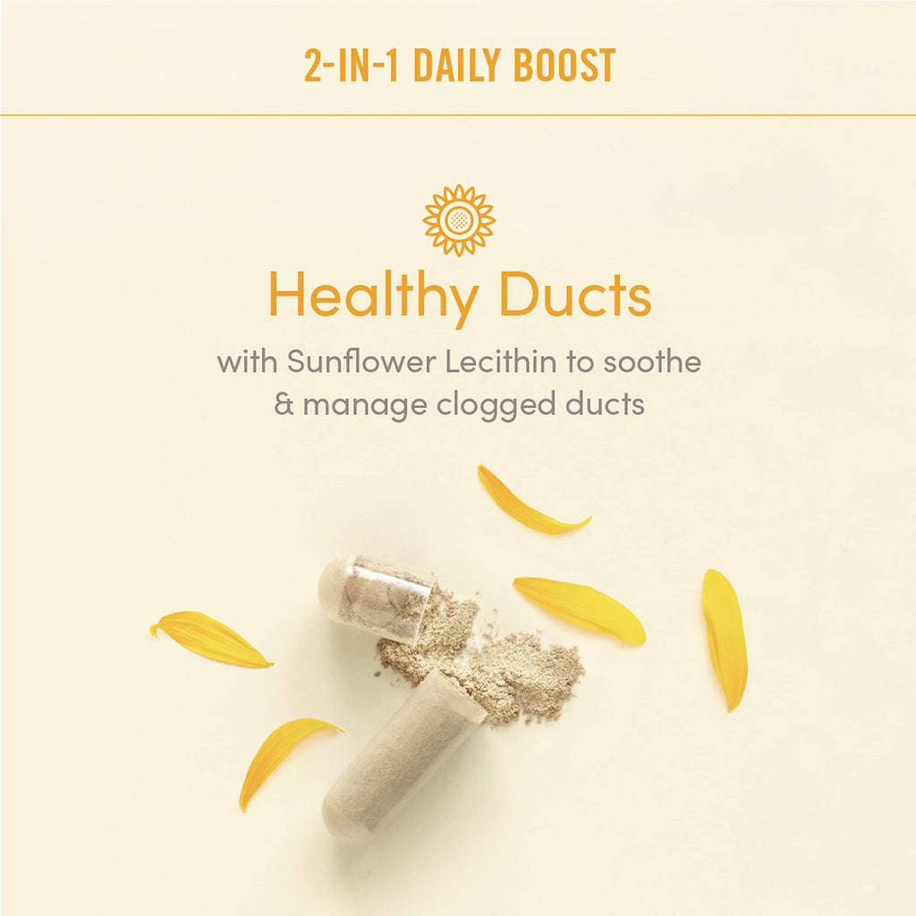 lactation capsules for increased milk supply