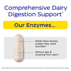 Lacto digestive enzymes for better digestion