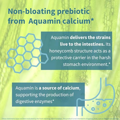 Lactobacillus Acidophilus benefits for gut