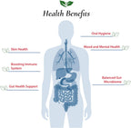 Lactobacillus for gut balance