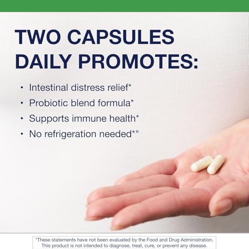 Lactobacillus plantarum for gut balance