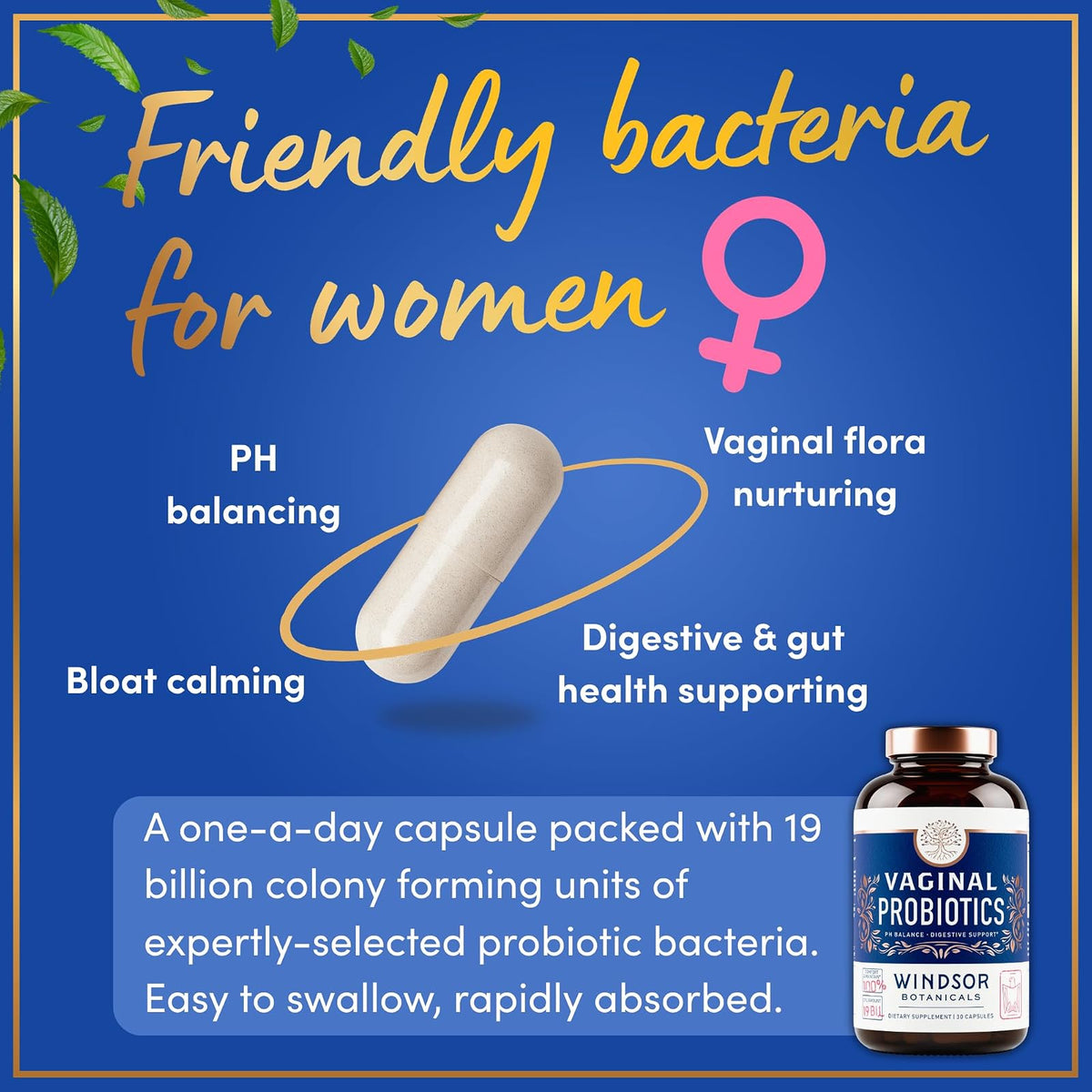 Lactobacillus probiotics for digestive health