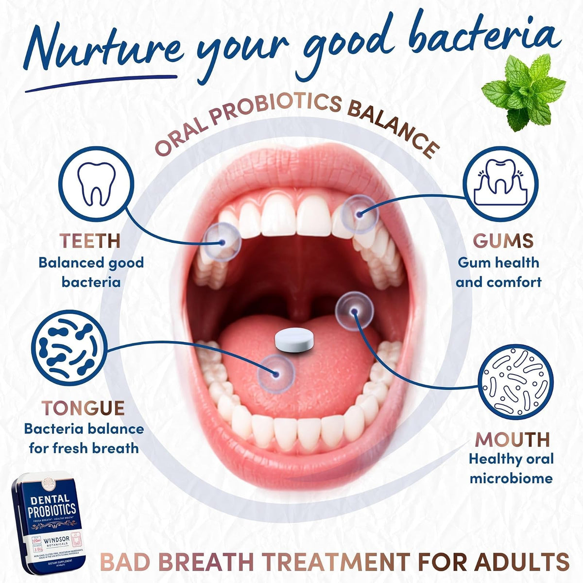 Lactobacillus salivarius for teeth