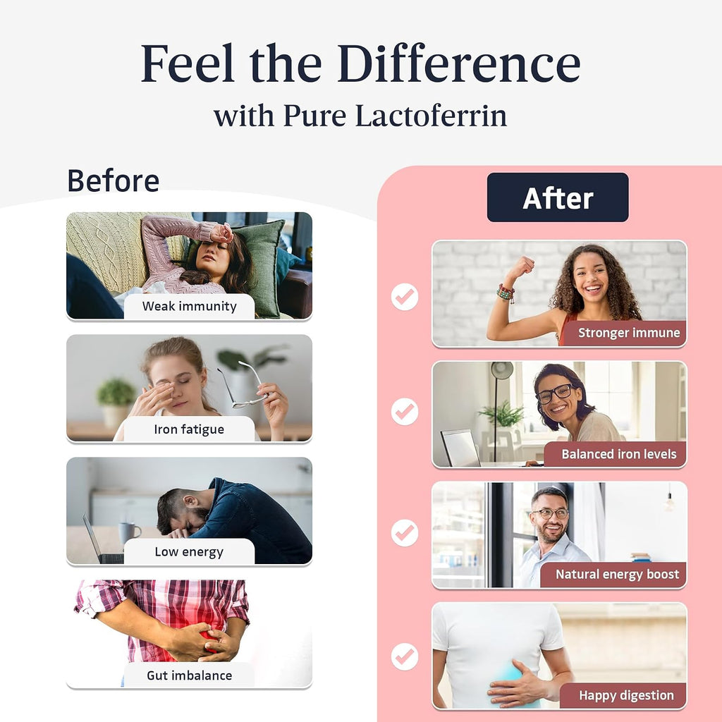 Lactoferrin digestive enzymes supplement
