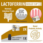 Lactoferrin Gold antioxidant rich formula