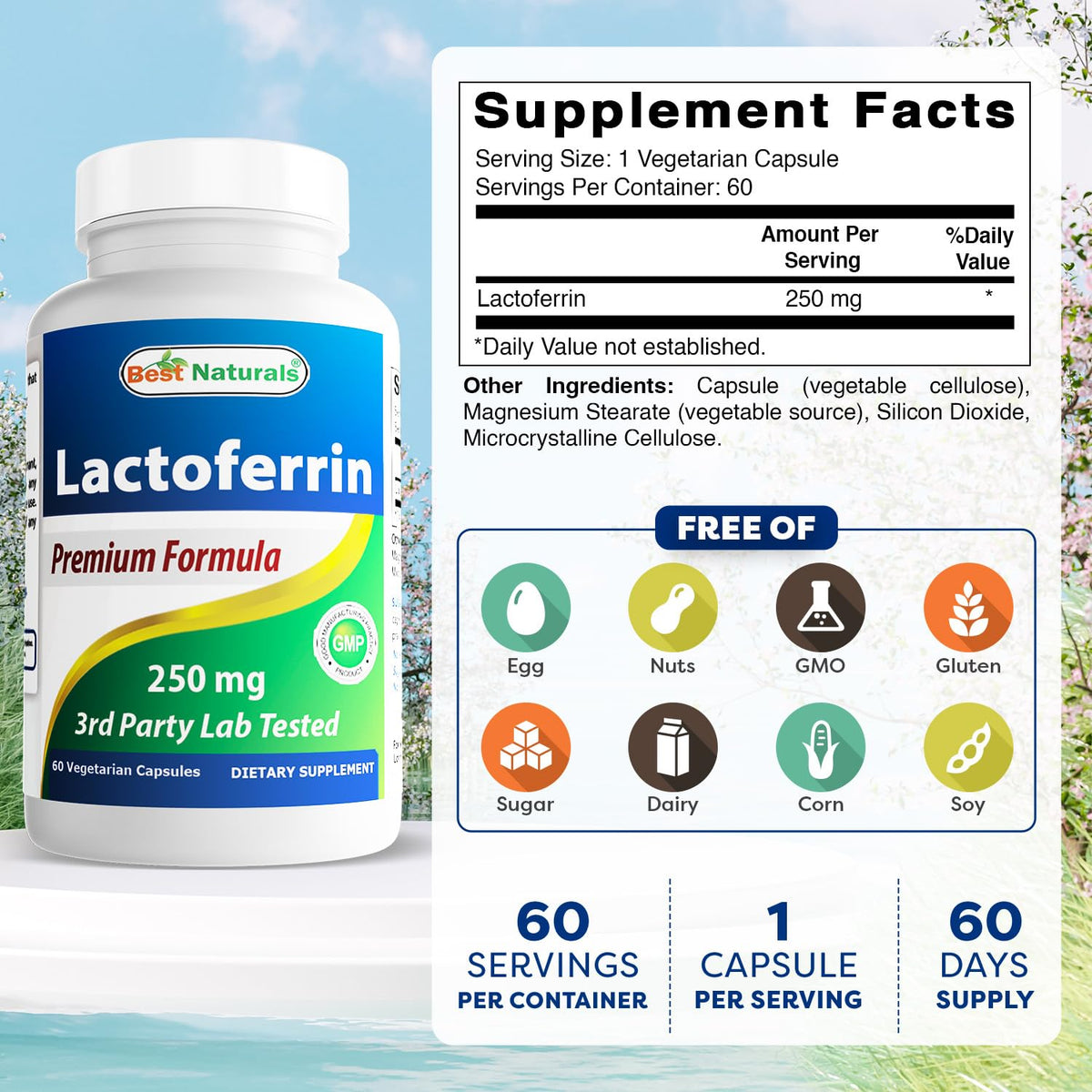 Lactoferrin multivitamin for immune support