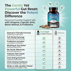 LactoSpore probiotics for men