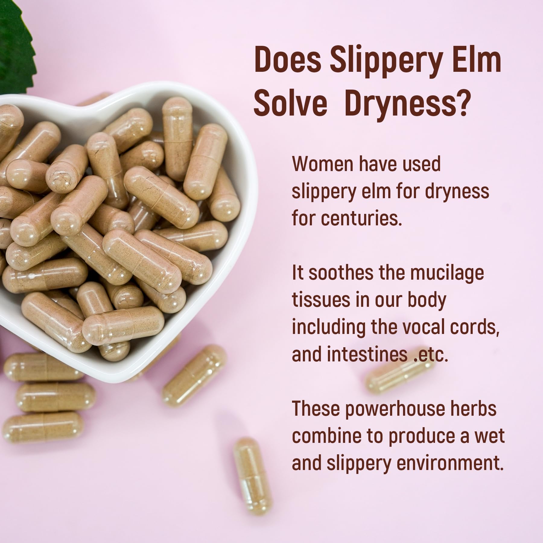 Laicuherb herbal supplements for everyday use
