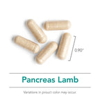 Lamb pancreas for digestive wellness