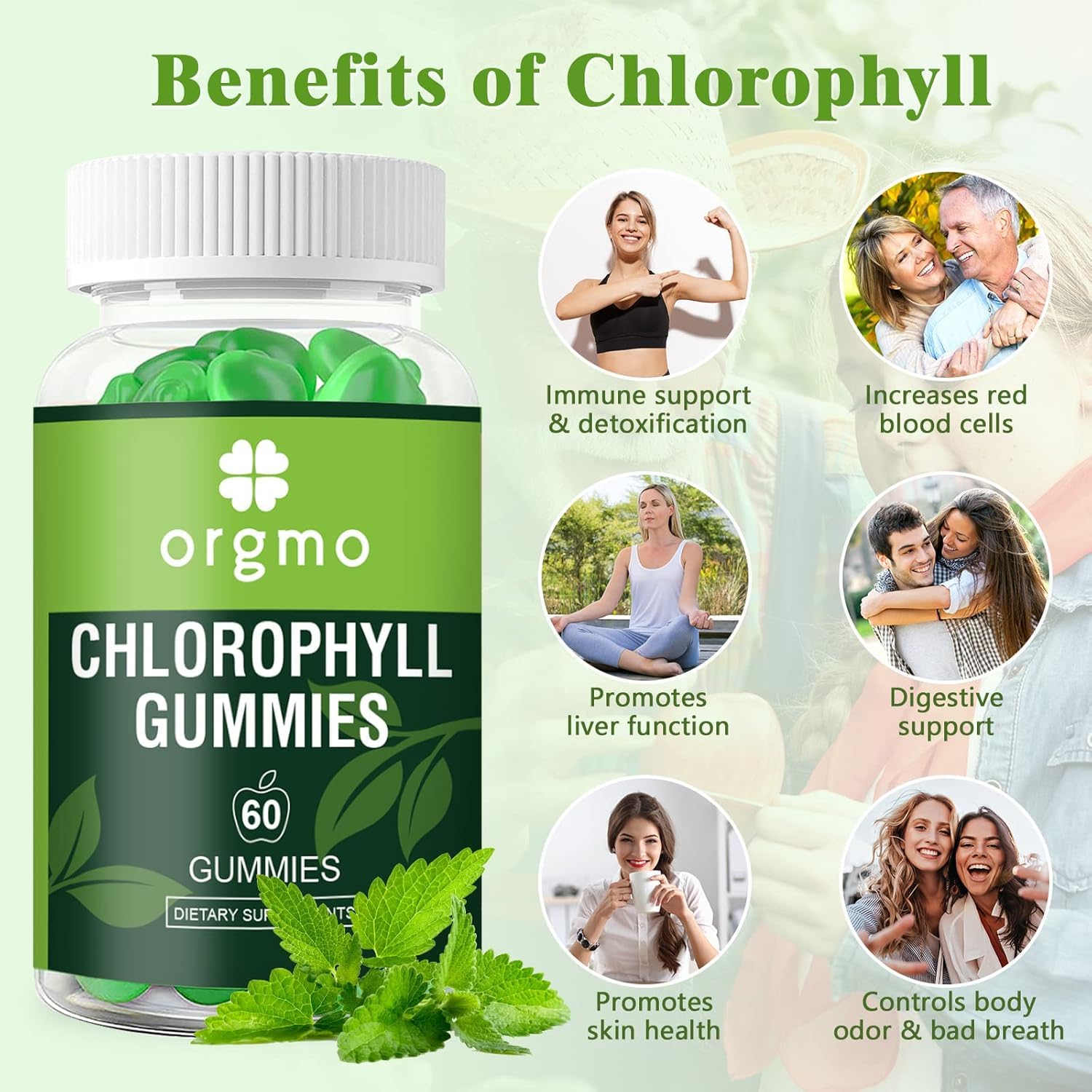 LandArt chlorophyll for better digestion