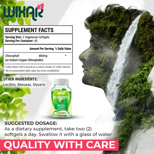 LandArt chlorophyll for daily nutrition