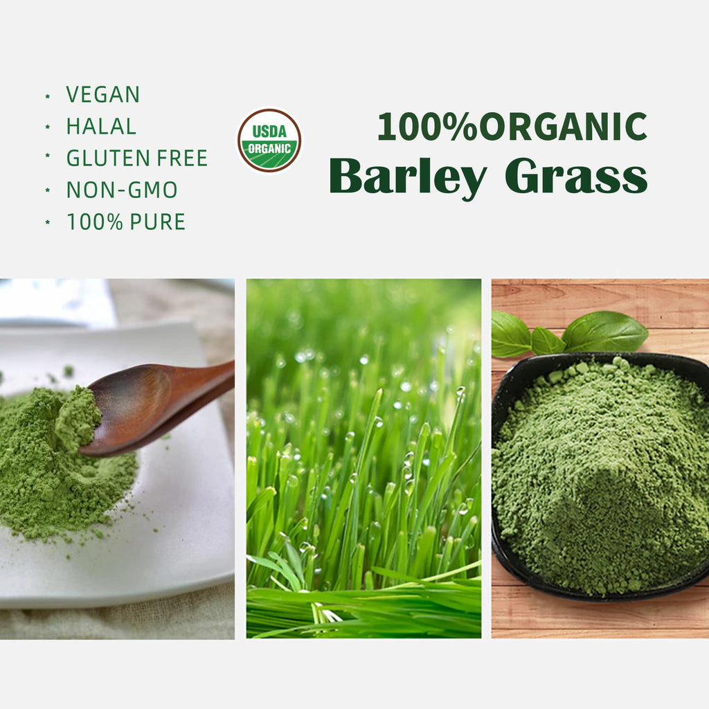 landart chlorophyll for daily wellness