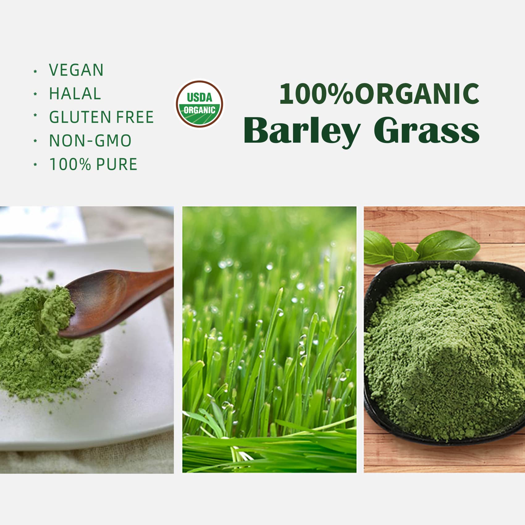 landart chlorophyll for daily wellness