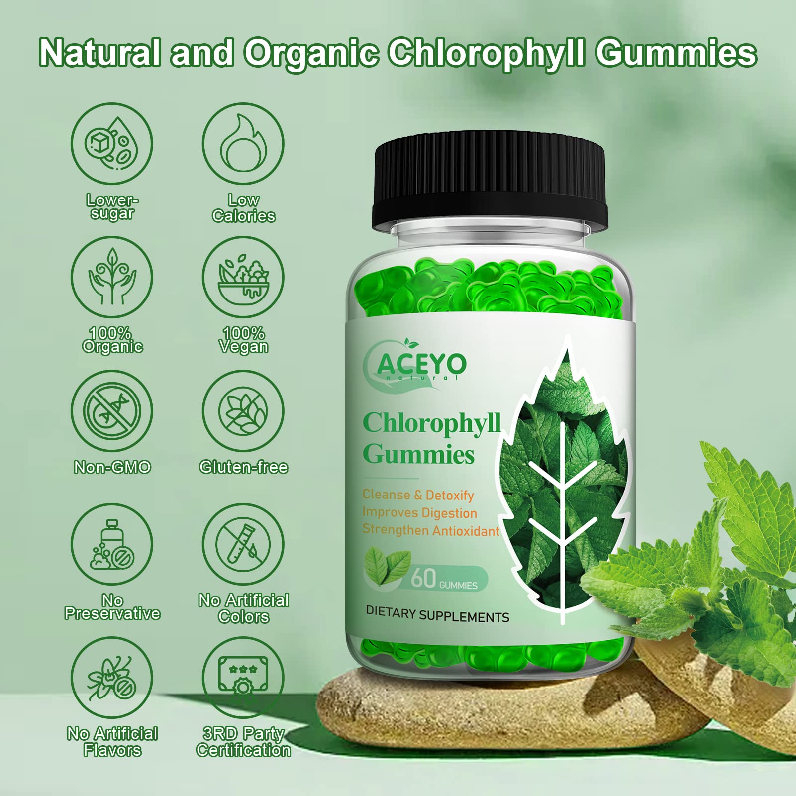 LandArt chlorophyll for daily wellness