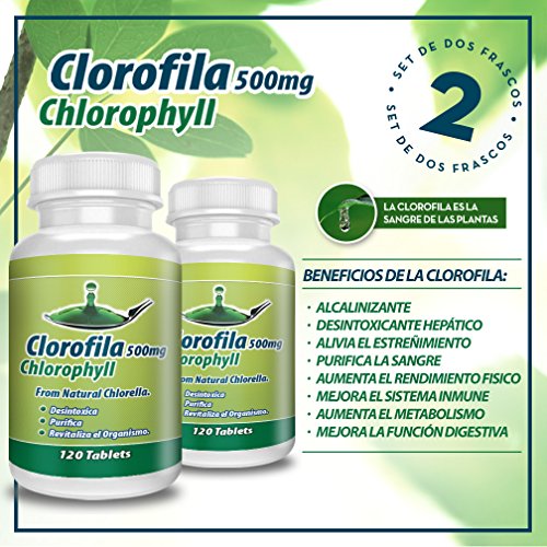 Landart chlorophyll for digestion