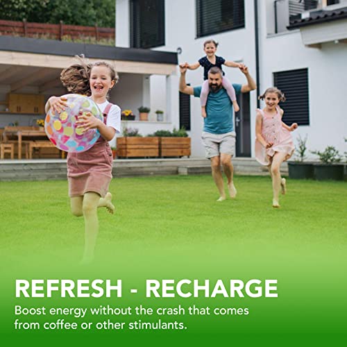 LandArt chlorophyll for energy boost