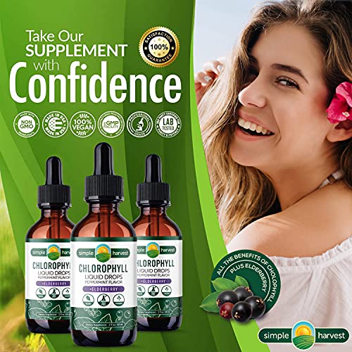 LandArt chlorophyll for immune boost