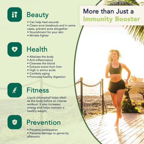 Landart chlorophyll for overall vitality