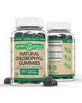 LandArt chlorophyll gummies for detox