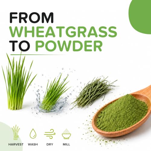 LandArt organic powder for nutrient-rich smoothies