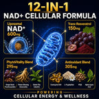 LAORICI NAD supplement for vitality