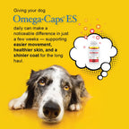 large dog fish oil supplement